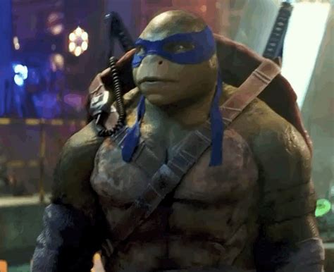 Tmnt 2014 2016 X Reader Imagines And Preferences Leonardo X Oc♡leo