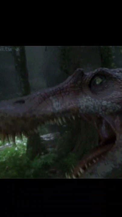 The Dominus Rex Vs Spinosaurus Youtube