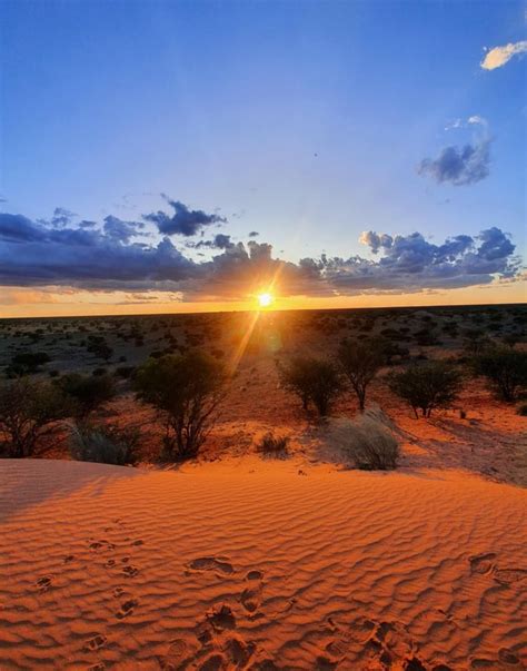 Kalahari Desert Sunset