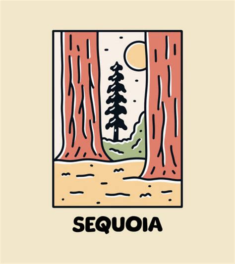 80 Grafiken Lizenzfreie Vektorgrafiken Und Clipart Zu Sequoia