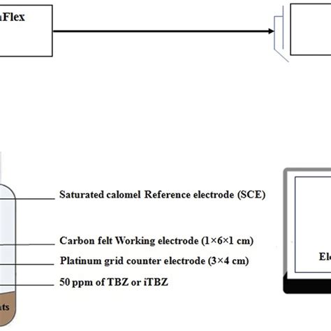 Schematic Representation Of Microbial Electrolysis Cell Mec And Download Scientific Diagram