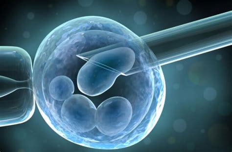 Stem Cell Revolution Trudges Forward Genetic Literacy Project