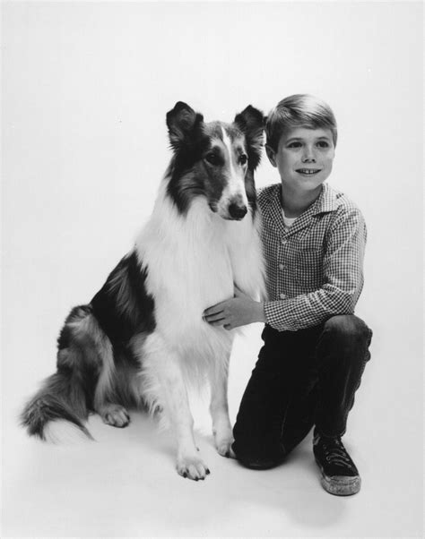 Jeff And Lassie Tv Show