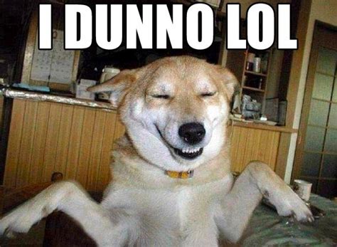 Funny Lol Face Pictures