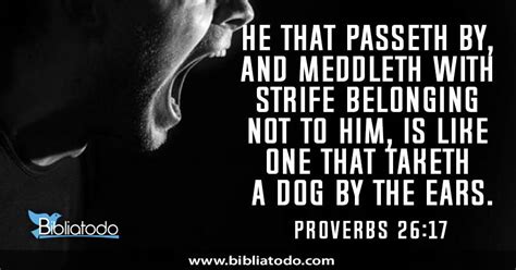 Proverbs 26 17 Bible Cross References Connecting Verses Across