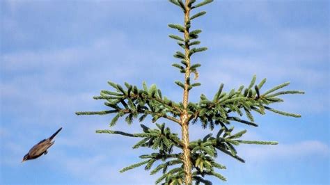 Timeka C On Linkedin Mindfulness Lookupattheskyday