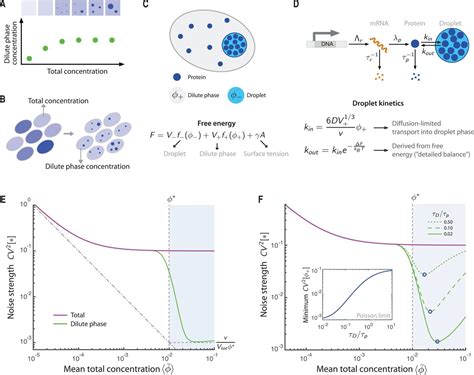 What Is Electronic Phase Separation At Hannah Belisario Blog