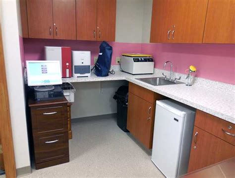 Columbus Cat Diagnostics Xrays Ultrasounds For Cats