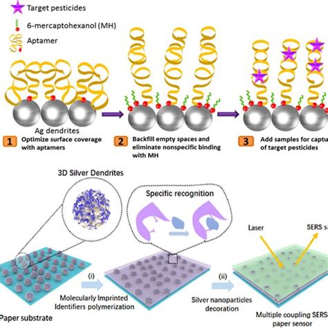 Schematic Description Of The Pump Free Microfluidic Sers Device A And