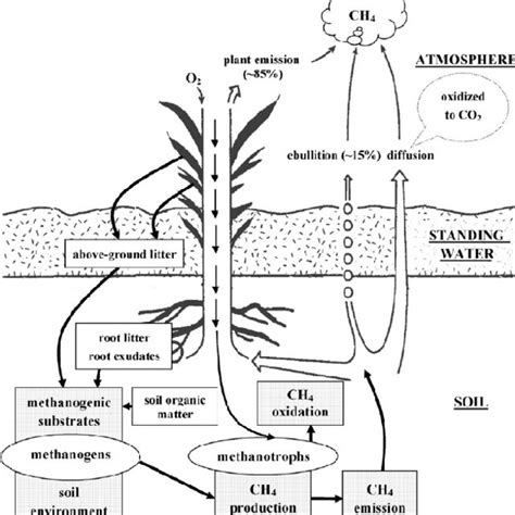 Conceptual Explanation For Modeling The Processes Of Methane