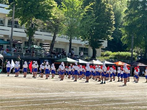 運動会シーズンですね 高知県介護福祉士会