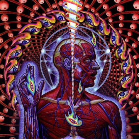 Tool Album Art Lateralus