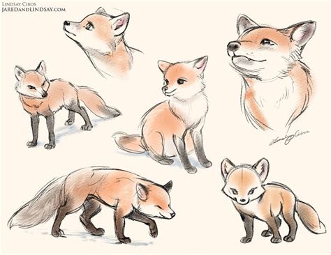 Cute Fox Characters Artofit