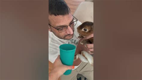 Tried The Chamoey Pickle Youtube