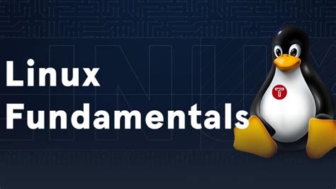 Linux For Beginners Mastering Terminal Commands Scripting And Container Management Youtube