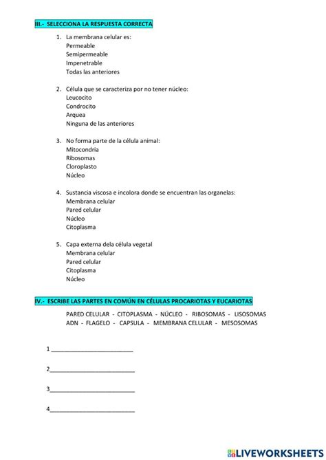 Celula Activity For Secundaria Live Worksheets