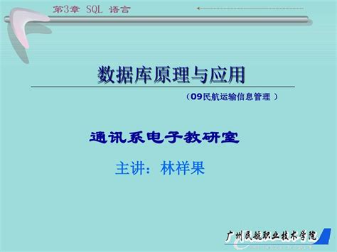 第3章 sql 语言 word文档在线阅读与下载 无忧文档