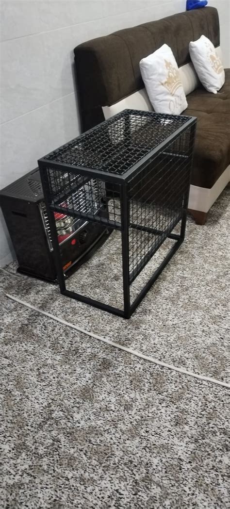 ئاسنگەری لاوی