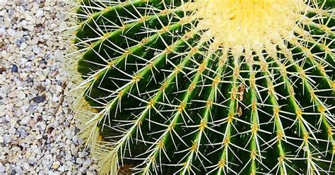 The Results Of Playing Around On My Camera And Then Photoshop Any