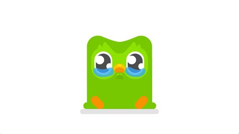 Lily Duolingo Rule 64 Animation
