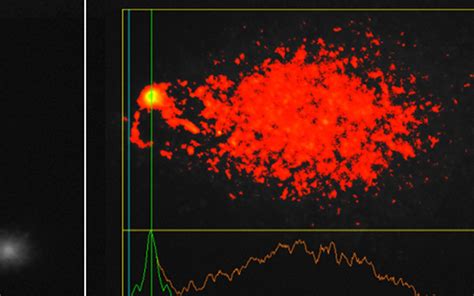 Comet Assay For Dna Caba