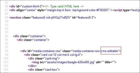 Problem Unwanted Text Appears On Website Mobirise Forums