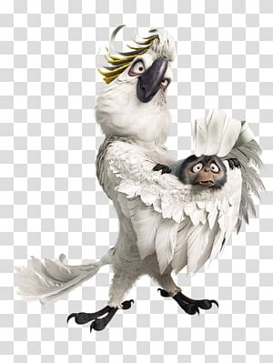 Rio Movie Tulio Bird Costume