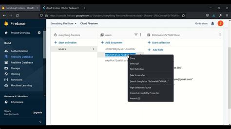 Firebase Firestore How To Update Firestore Data Using Flutter Youtube