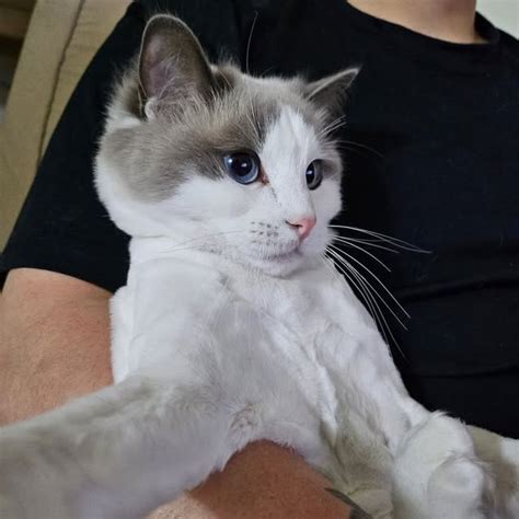 이유민 Mondeumin • Threads Say More