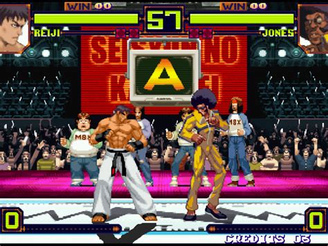 Power Instinct Matrimelee 2003