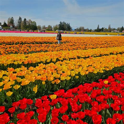 Sofía Ramírez Lsofiramirez • Instagram Photos And Videos