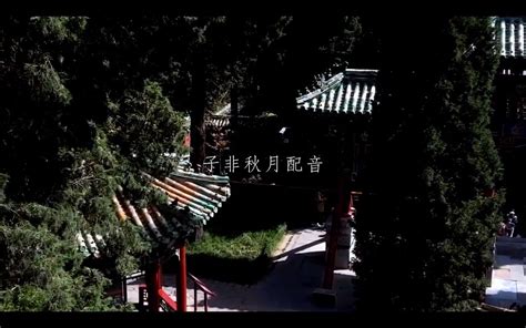 朱文正用一生中最温柔的语气 说出了那句话 子非秋月 子非秋月 哔哩哔哩视频