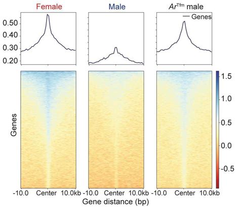Sex Differences In Immune Mediated And Inflammatory Diseases Are Well