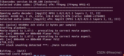 Linux——stack Smashing Detected Stack Smashing Detected Terminated Csdn博客