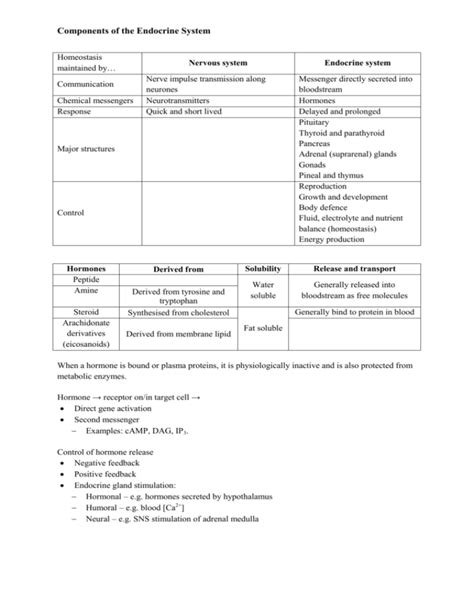 Components Of The Endocrine System
