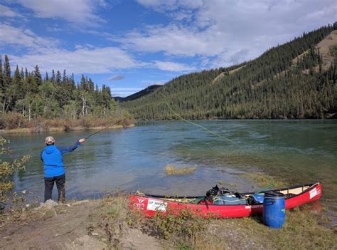 Yukon River By Canoe Route Outfitters Planning Logistics And More