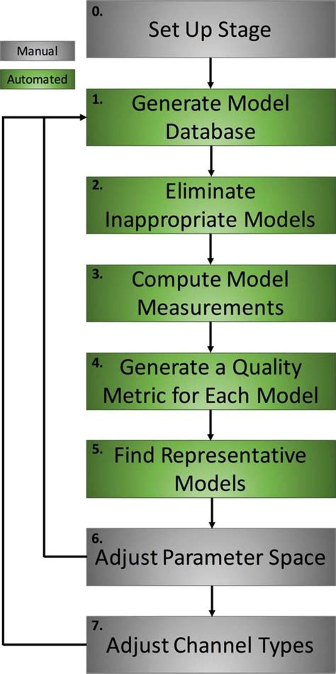 Using A Semi Automated Strategy To Develop Multi Compartment Models That Predict Biophysical