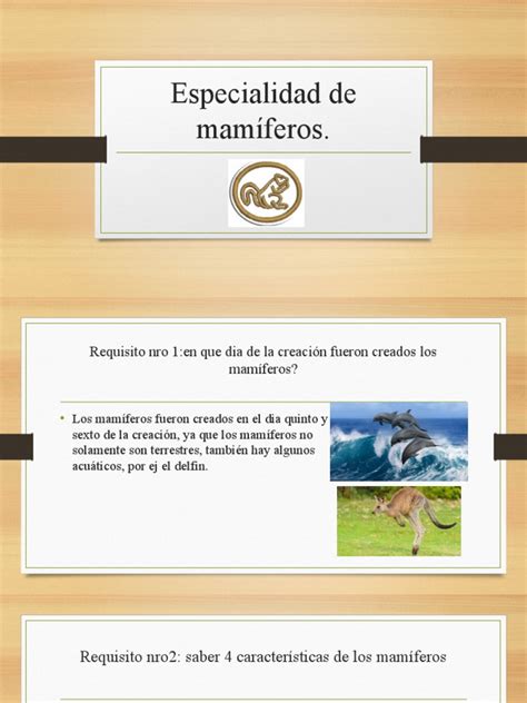 Características Y Grupos De Mamíferos Pdf Mamíferos Roedor