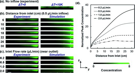 Steady State Distribution And Peak Concentration Of 100 Nm Polystyrene Download Scientific