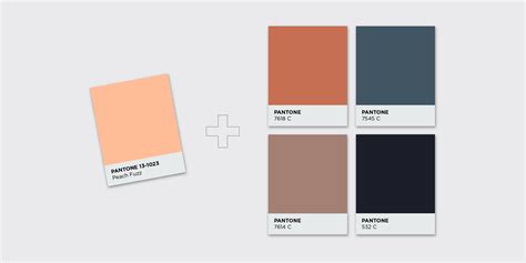 6 Ways To Use The 2024 Pantone Color Of The Year — Chelsea Liske Design
