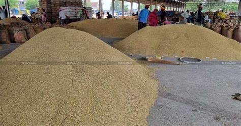 Dgft Prohibits Export Of De Oiled Rice Bran Until January 31 2025