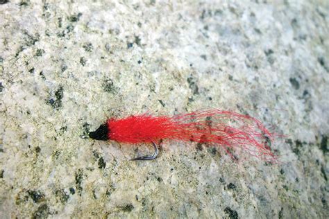 Going Micro Downsize For Finicky Fish The Fisherman