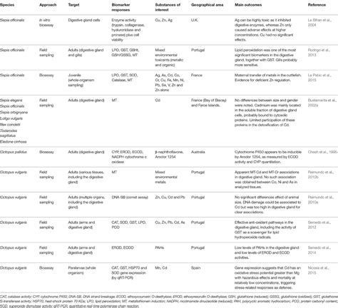 Digestive Enzymes And Their Functions Table