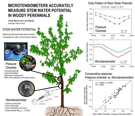 Microtensiometers Accurately Measure Stem Water Potential In Woody
