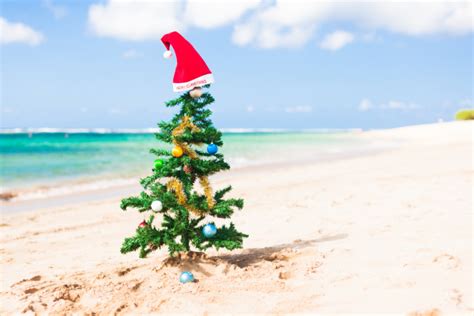 Santas Summer Surprise Its Christmas In July