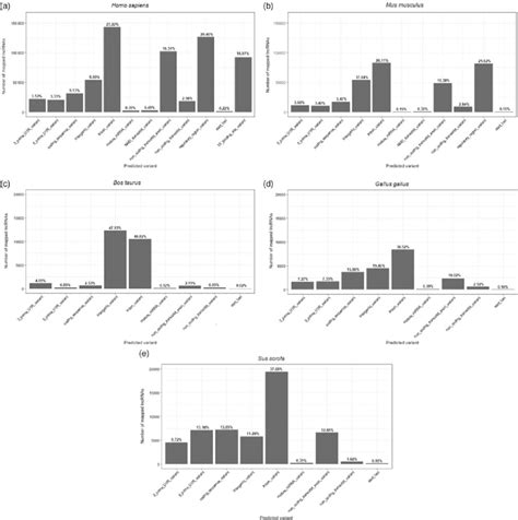 Genomic Annotation Of Long Non Coding Rna Genes From The Noncode Download Scientific Diagram