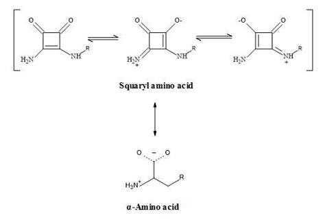 Squaramide Amino Acid Synergy Download Scientific Diagram