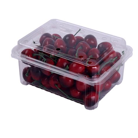 Clear Biodegradable Fruit Packaging Box Plastic Clamshell Packaging For