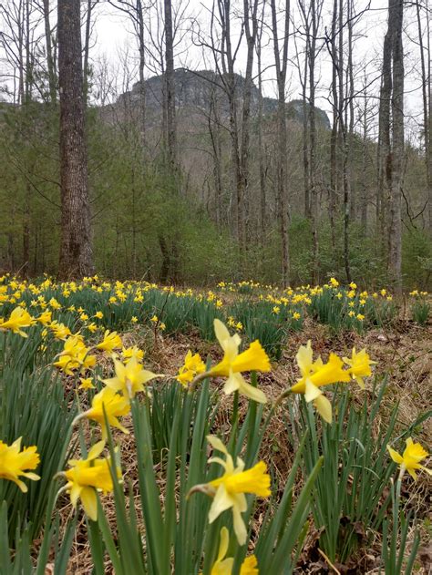 Ghost Maps And Relational Realit — Inner Light Counseling Collective