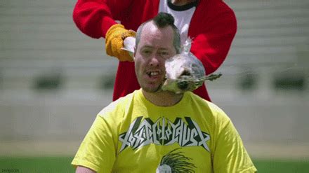Download Tv Show Jackass 